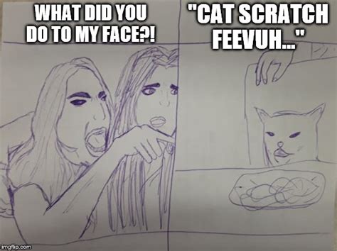 Lady Screaming At Cat Meme Picker