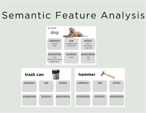 Semantic Feature Analysis Templates Slp Downloadable Resource Sfa