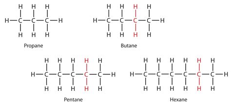 2 1 Structures And Names Of Alkanes Chemistry Libretexts