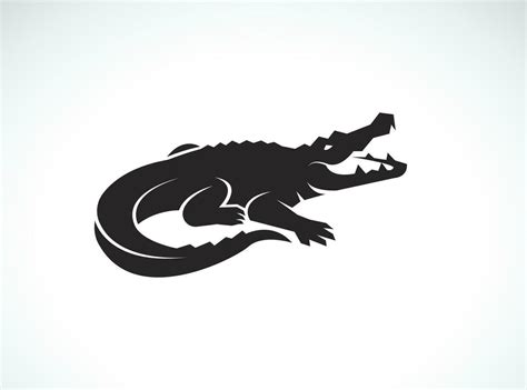 Vector Of Crocodile Design On White Background Wild Animals Reptile