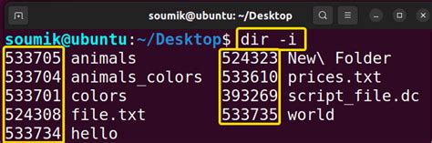 The Dir Command In Linux 15 Practical Use Cases LinuxSimply