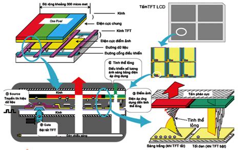 LCD Panel Màn hình LCD Phần 1