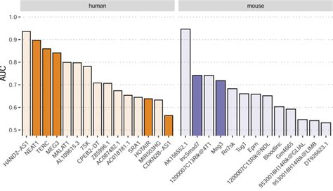 AUC Values Of All The Analysed LncRNAs The AUC Values Are Reported Download Scientific Diagram