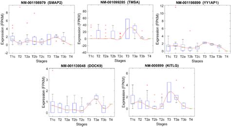 stage specific expression level of transcripts that have been selected