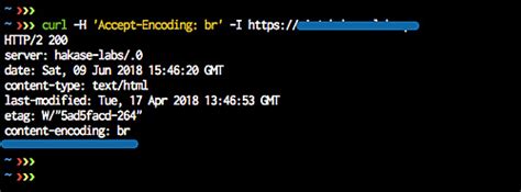 Cómo Instalar Nginx Con Compresión Brotli En Ubuntu Howtoforge
