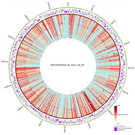 Diversity Of The Phylum Chlamydiae A Phylogenetic Tree Of Cultured