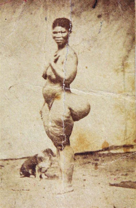 Taik Tragedy Of Sarah Saartjie Baartman The Hottentot Venus