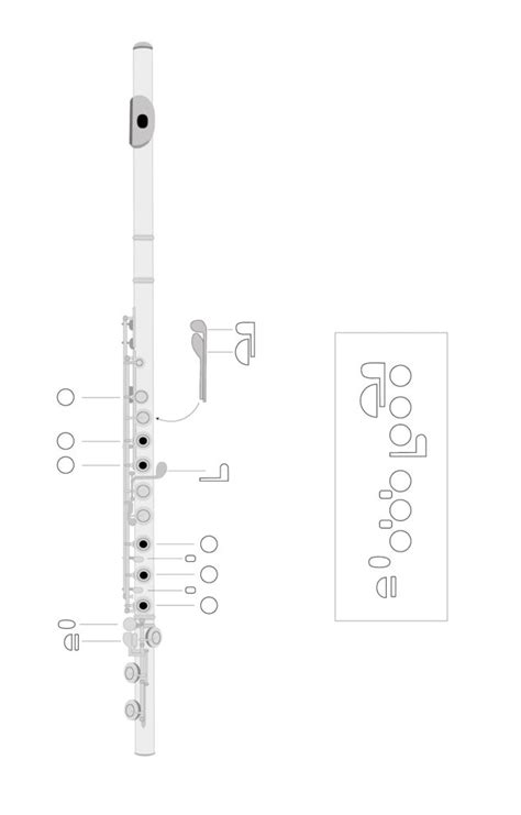 Flute Keys Labeled