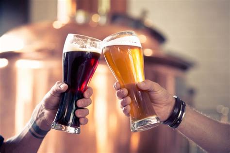 Differences Between Ale Lager And Beer Know Your Brew LoveToKnow