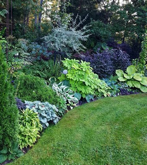 Best Plants For Shaded Rock Garden At Ella Reibey Blog
