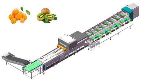 Optical Sorting Machine Weight Sorting