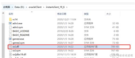 【异常】navicat客户端连接oracle 19c服务端报错：no Matching Authentication Protocol Csdn博客