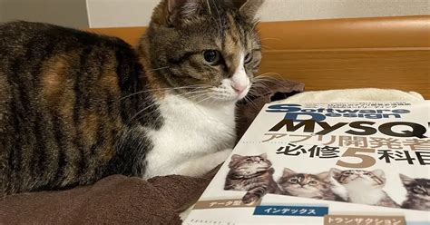 [2022年9月号] software design 技術評論社 サマリー 個人メモ みるめも