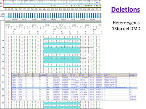 Ppt Mutation Detection By Massively Parallel Sequencing Of Solution