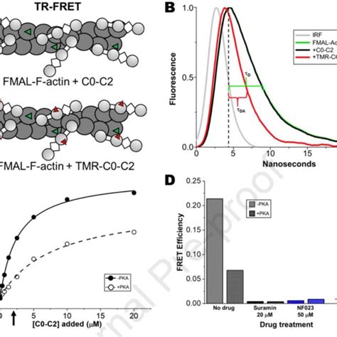 Isothermal Titration Calorimetry ITC Of Hit Compounds Binding To Download Scientific Diagram