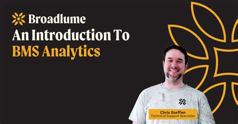 Recap An Introduction To Bms Analytics