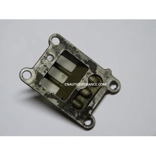 Reed Valve