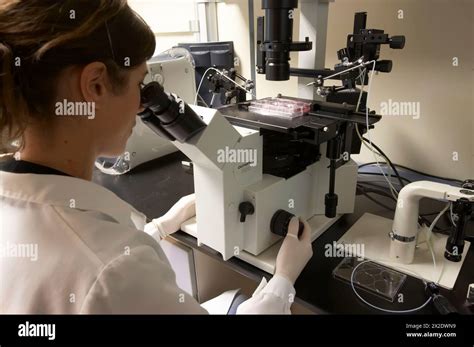 Technical Staff Working With Olympus Ix50 Microscope Provided With
