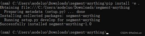 Segment Anything安装教程segment Anything安装 Csdn博客