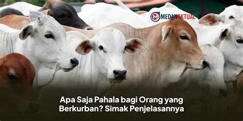 Apa Saja Pahala Bagi Orang Yang Berkurban Simak Penjelasannya
