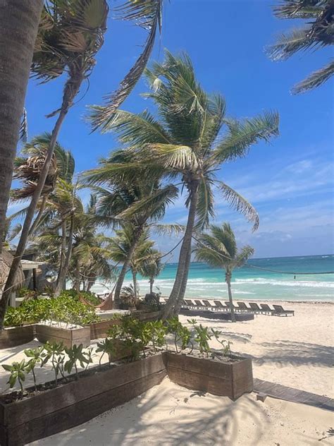 Casa Gitano Tulum Beach Hotel 2024 Prices And Reviews