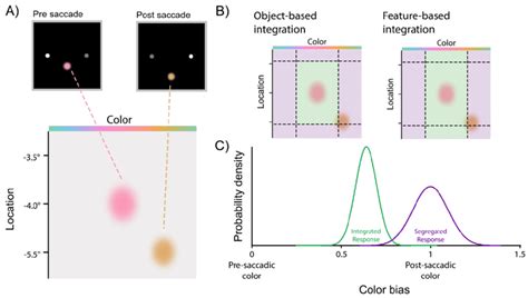 Pictorial Representation Of The Optimal Observer Model A The Pre And Download Scientific