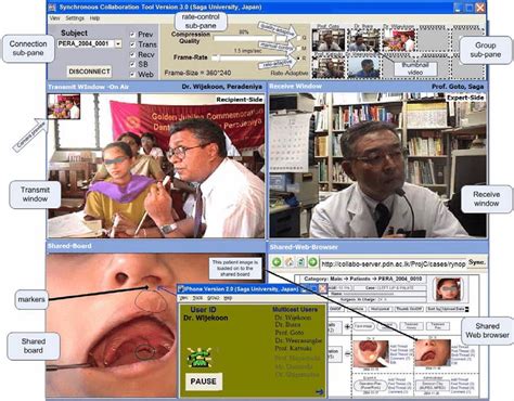 Gui Snapshot Of The Synchronous Collaboration System Download