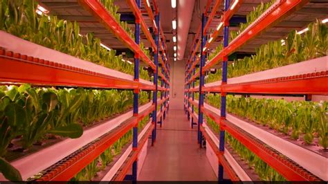 Indoor Hydroponic Vertical Farm Will Grow Greens For Multiple Northeast