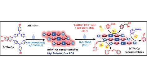 Regulating The Twisted Intramolecular Charge Transfer And Anti Heavy Atom Effect At