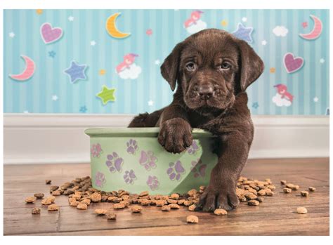 اسباب بازی فقط توی توی Toy Toy پازل 180 تکه کلمنتونی مدل هاپو