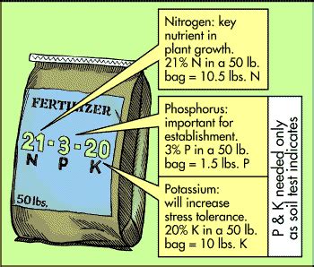 Fertilizing Your Lawn, what’s in a number? | VIP Home and Yard: Making Life Manageable; Based in ...