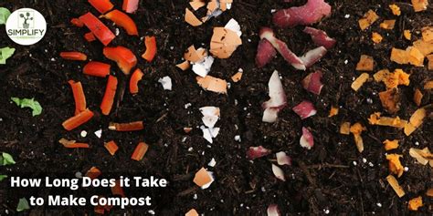 How Long Does It Take To Make Compost Simplify Gardening