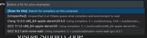 develop and debug raspberry pi pico on macos big sur andré jacobs