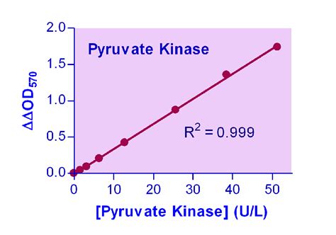 enzychrom™ pyruvate kinase assay kit bioassay systems enzyme assays