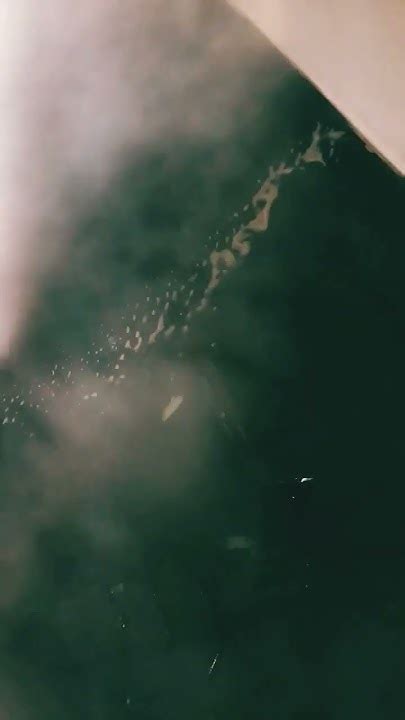 마곡출장세차 포르쉐 911 스노우폼세척 스팀세차 내부세차 살균소독 악취제거 담배냄새 제거 Youtube