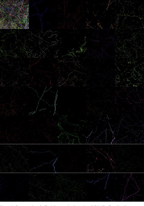 Figure 5 From Automated Scalable Segmentation Of Neurons From Multispectral Images Semantic