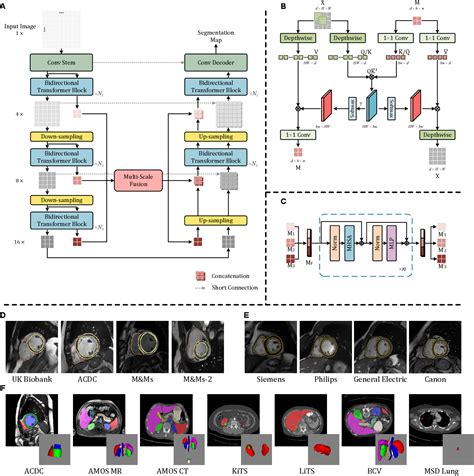 figure 2 from a data scalable transformer for medical image