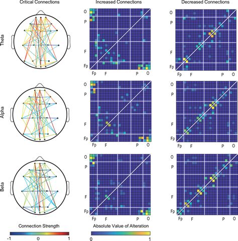 Figure 1 From Driving Fatigue Recognition With Functional Connectivity