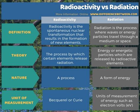 Alpha Beta And Gamma Rays Difference All About Radiation