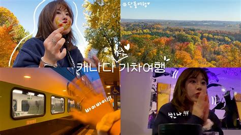 당일치기 기차여행 Vlog🚃ㅣ2층 기차타고 단풍구경🍁단풍국에서 단풍 실컷 보기🍂인터넷이 안터지는 산속에서 길을 잃어버린 공포의