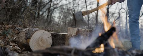 Natyrë E Pa Qetë Së Shpejti Në Një Reality Show Revista Who