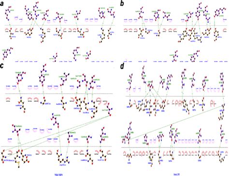 2d Molecular Interaction Diagram Of Dock Complexes A Ace2 With Wild