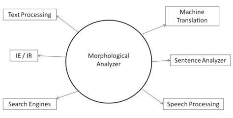 morphological analyzer download scientific diagram