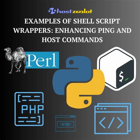 Hostzealot Hosting On Linkedin Vps Server System Command
