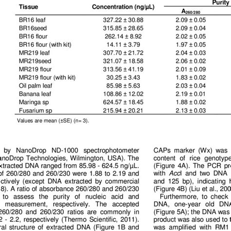 Composition And Preparation Of The 5x Tbe Buffer Download Scientific