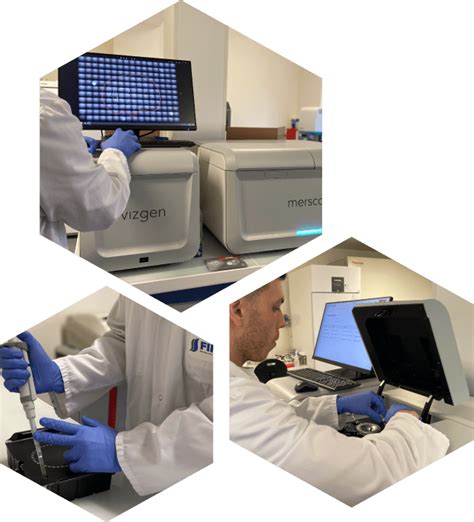 Spatial Transcriptomics Services Capture Transcriptional Activity Spatial Transcriptomics Services Capture Transcriptional Activity