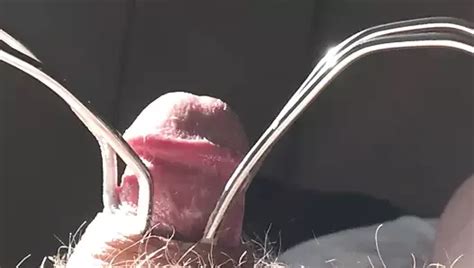 Creamy Foreskin Part 1 Of 2 Xhamster