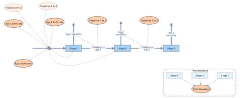 Exercise 3 Translate Stage Structured Projection Matrix To
