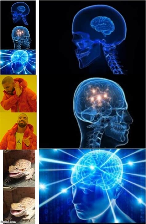 Butter The Nested Meme Dragon R Memes