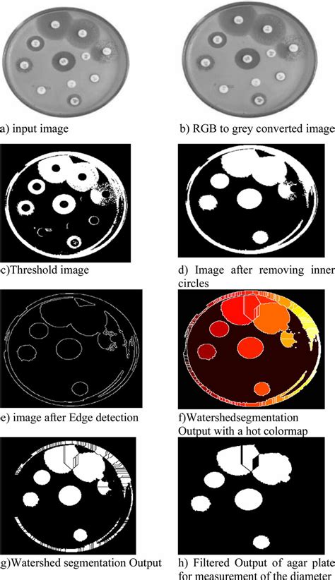 images obtained at different stages of diameter calculation using